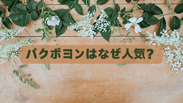 パクボヨンはなぜ人気？俳優からモテる&可愛すぎる童顔の魅力について！｜韓ドラDEナイト